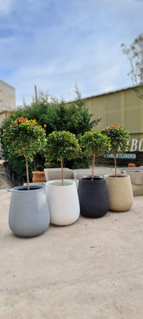 Maceta rotomoldeada MATE – El Ceibo Vivero y Florería